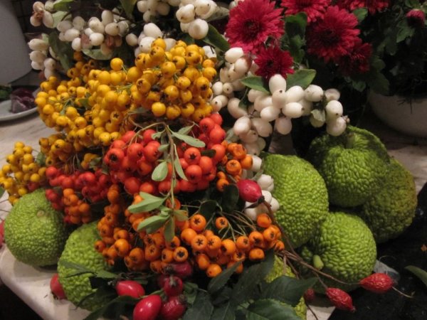 Látványos őszi lakásdíszek házilag | Balkonada